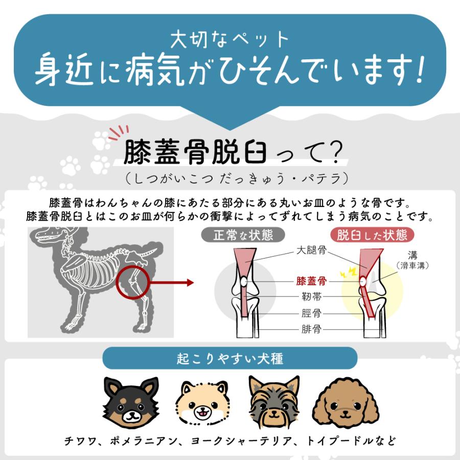 【先行ご予約価格】ドッグステップ 2段 犬用ステップ ペットスロープ ドッグステップ 犬 ペット えるだん ステップ スロープ 階段 踏み台 ペットステップ : lm-ds02 : ライフ ...