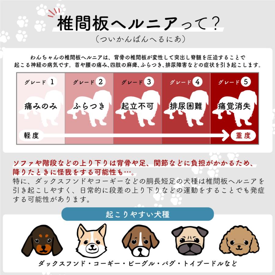 【先行ご予約価格】ドッグステップ 2段 犬用ステップ ペットスロープ ドッグステップ 犬 ペット えるだん ステップ スロープ 階段 踏み台 ペットステップ : lm-ds02 : ライフ ...