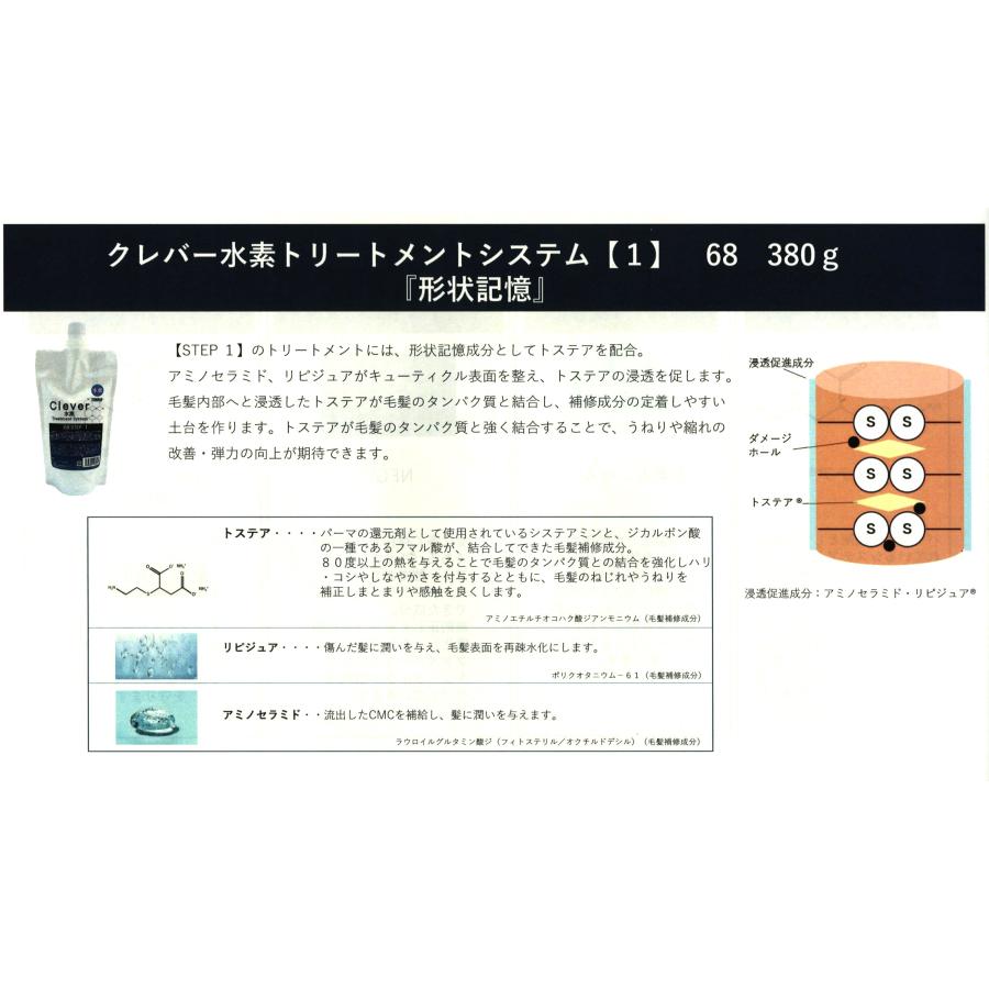 【NEW/トステア】ティアーズ クレバー 水素トリートメント1(380g)+2(380g)+3 (380g)+水素トリートメント ミルク 100gセット : ヘアケアショップリヤン - 通販 ...
