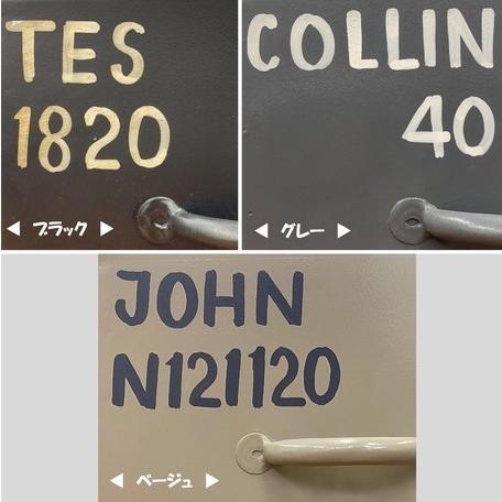 ienowa スチールチェスト横型12杯引出 キャビネット アイアン ienowa スチールチェスト横型12杯引出 キャビネット アイアン
