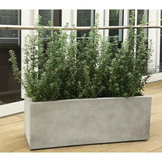 植木鉢 大型 軽量 FPR製 モードライト プランター ライトグレー L100cm×W45cm×H45cm（33号 33寸） :EB ...