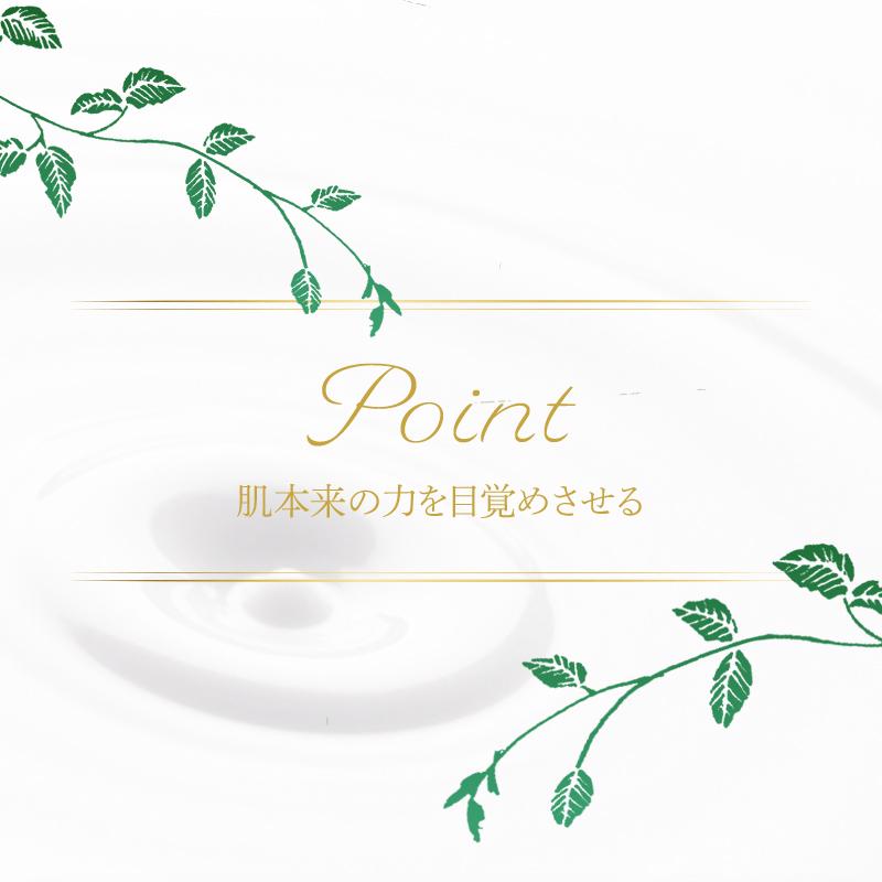 デマレ GF ミルクエマルジョン 350g 業務用 乳液 EGF FGF IGF TGF HGF セラミド プロテオグリカン コラーゲン ヒアルロン酸 レチノール グロスファクター ...