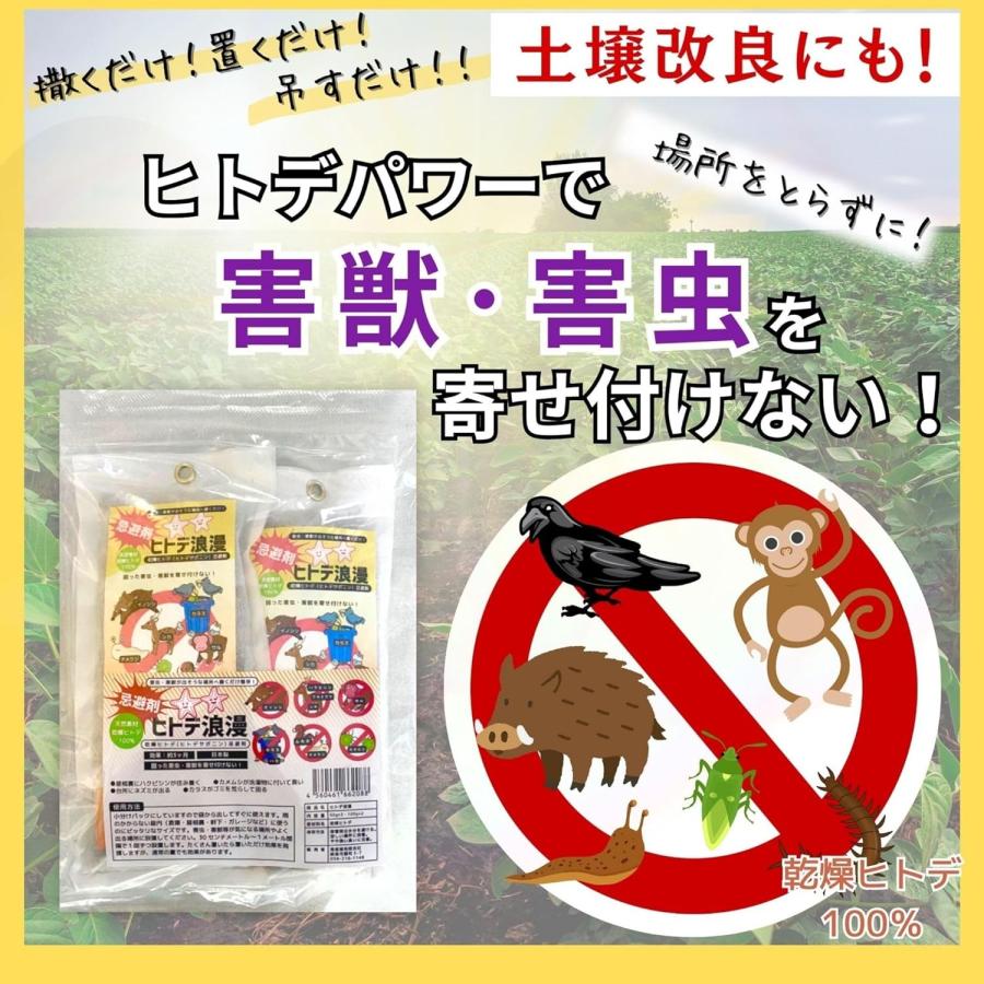 ヒトデ浪漫 小分けパック(100g x 2 50g 3) 3セット 天然乾燥ヒトデ 100% 害獣 害虫 対策 カメムシ ムカデ ナメクジ イノシシ カラス 忌避剤 寿産業 : 美と健康の ...