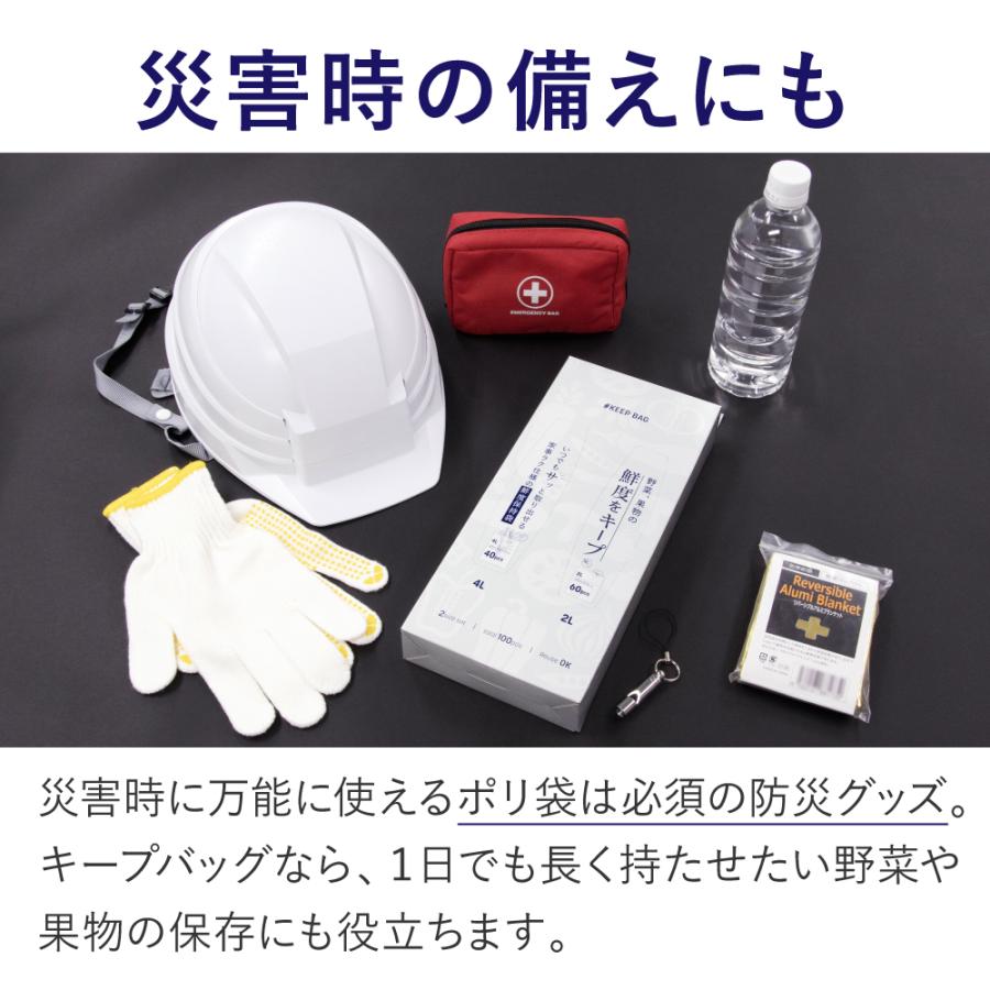 野菜 果物 保存袋 2サイズ 取り出しやすい ボックスタイプ 保持袋 ポリ袋 鮮度 保つ 長持ち 鮮度キープ キープバッグ 100枚入 :ar2018224:lifeone Yahoo!店 ...
