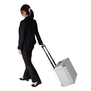 タニタ キャリングケース DC4308401 : 生活計量(ライフスケール) - 通販 - Yahoo!ショッピング