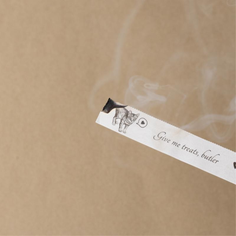 OPTATUM ペーパーインセンス VER.CAT 猫ちゃん ペット向け フローラルウッディの香り 愛猫と一緒に 癒しのひととき 紙のお香 誕生日 ギフト プレゼント : GifColle ...