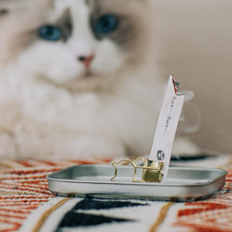 OPTATUM ペーパーインセンス VER.CAT 猫ちゃん ペット向け フローラルウッディの香り 愛猫と一緒に 癒しのひととき 紙のお香 誕生日 ギフト プレゼント : GifColle ...