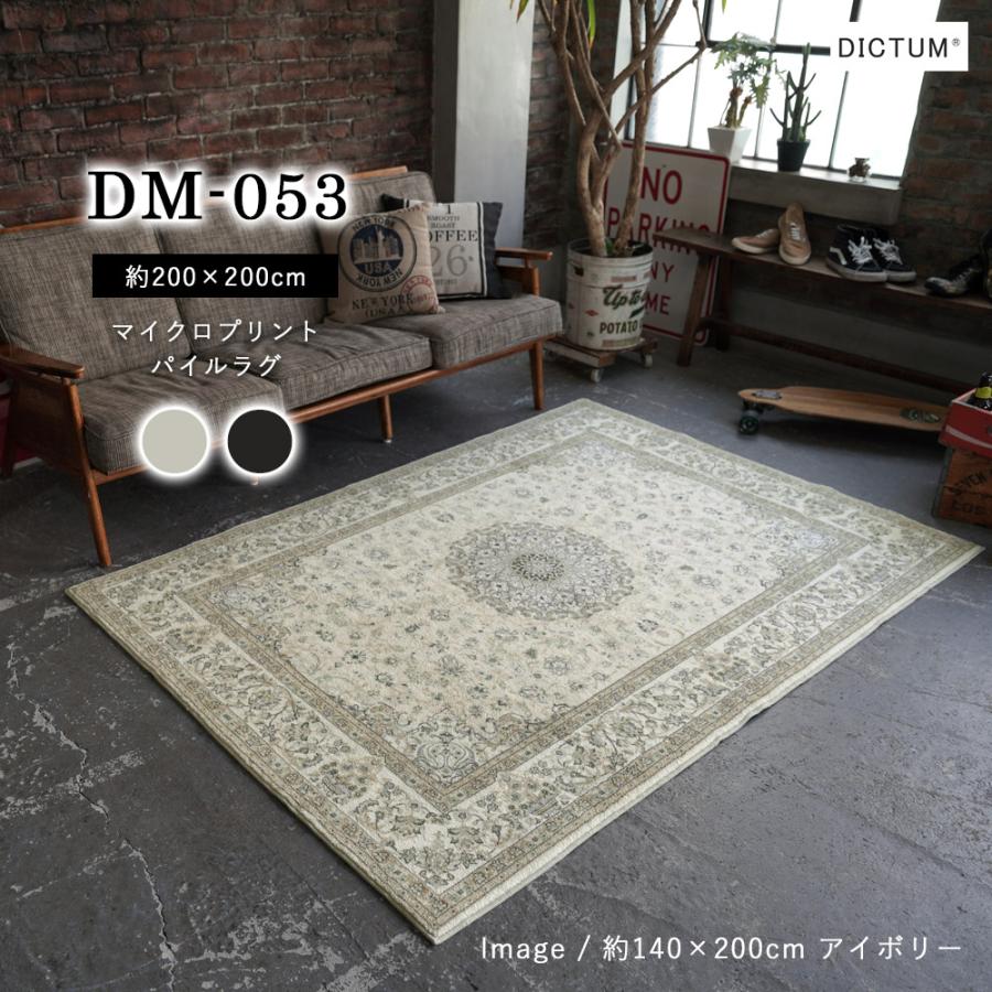 ラグ ラグマット マット 洗える 床暖房 ホットカーペット 対応 滑り止め おしゃれ カーペット マイクロプリントパイルラグ DM-053 200×200cm :tsz-dm-053-200 ...