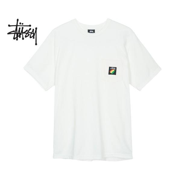STUSSY ステューシー Tシャツ RASTA PIG. DYED PKT TEE 18HO natural T-シャツ ポケット ...
