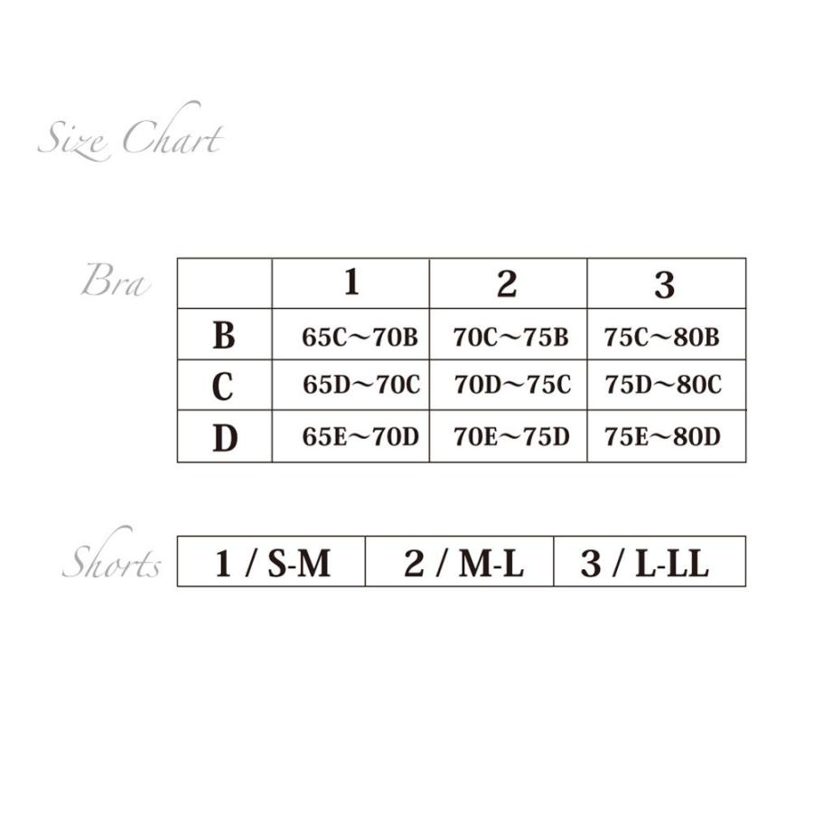 Leilieve／INVISIBLE/レイリエヴ 直輸入イタリアインポートランジェリー Tバックショーツ Gストリング ラインストーン ...