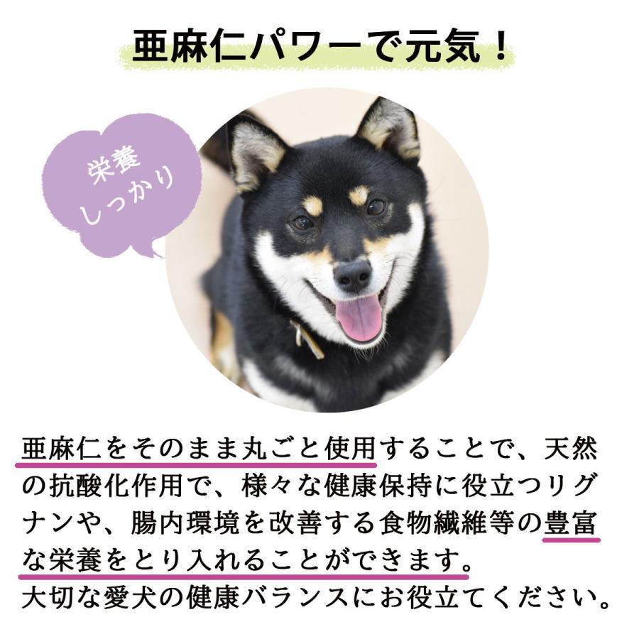 あまにワン 160g（16g×10袋） 植物性原料100％の犬用健康食品 株式会社エヌ・ビー・アール :4560122876526:LipStyleペットfamily園 - 通販 ...