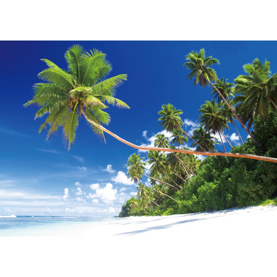 インテリア ポスター 青空と椰子 B2 : lor-b-b2-019 : お部屋ポスター専門小さなオアシス - 通販 - Yahoo!ショッピング