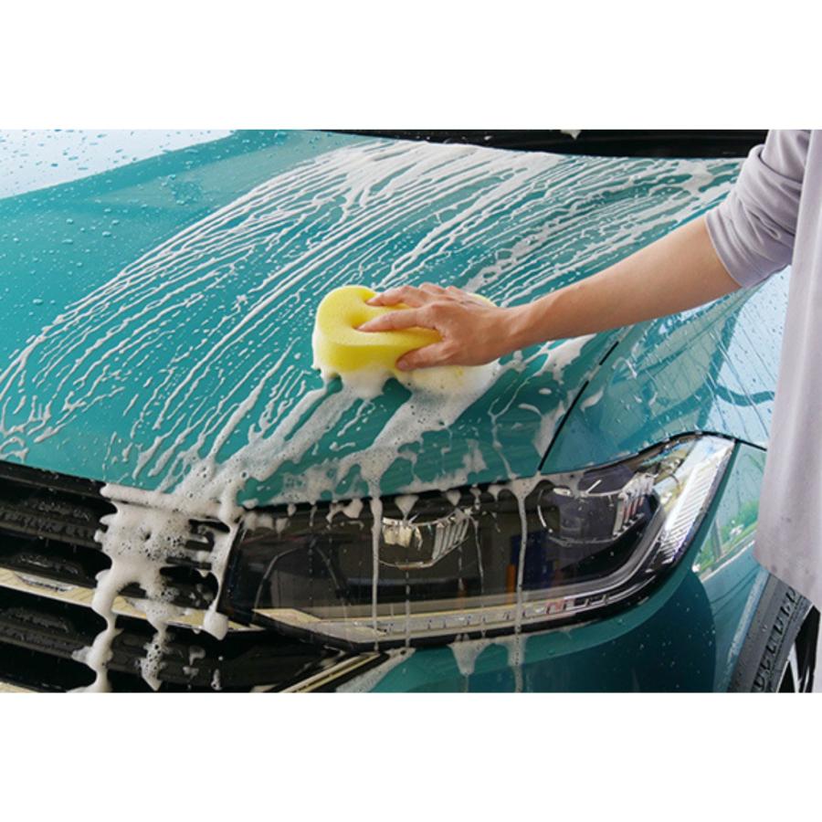 ソフト99 ALAUNEN パチパチアップ ウォッシュ＆コート 02904 SOFT99 アラウネン 洗車 : リトルスプリング - 通販 - Yahoo!ショッピング