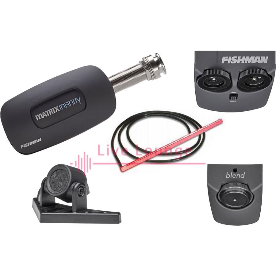 FISHMAN Matrix Infinity Mic Blend Pickup & Preamp System PRO-MAN-MBV ...
