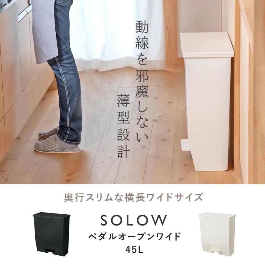 特典付き ゴミ箱 45L SOLOW ペダルオープンワイド （ ごみ箱 45リットル ソロウ ペダル式 ふた付き 棚下 カウンター下 分別 スリム 奥行23 ） : 421311 : リビン ...