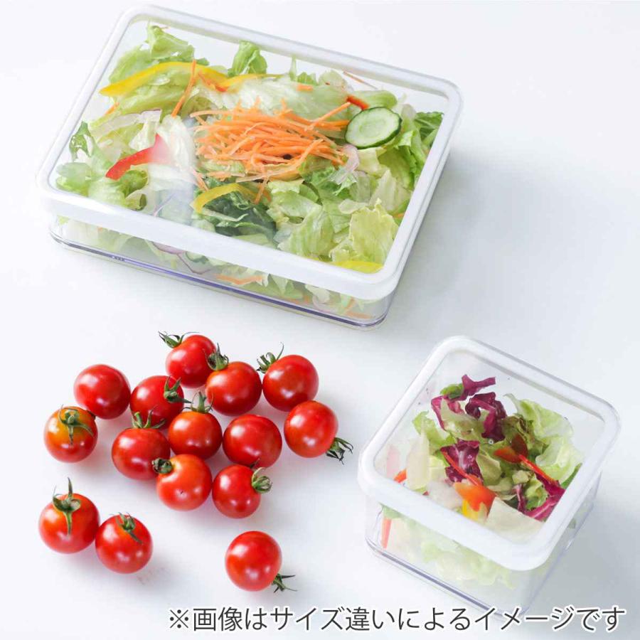 ViV 保存容器 1L VIVコンテナ スクエア 1000 viv （ ヴィヴ プラスチック 保存 容器 密閉 食洗機対応 密閉容器 食品保存 プラスチック容器 ） : リビングート ヤフー店 ...