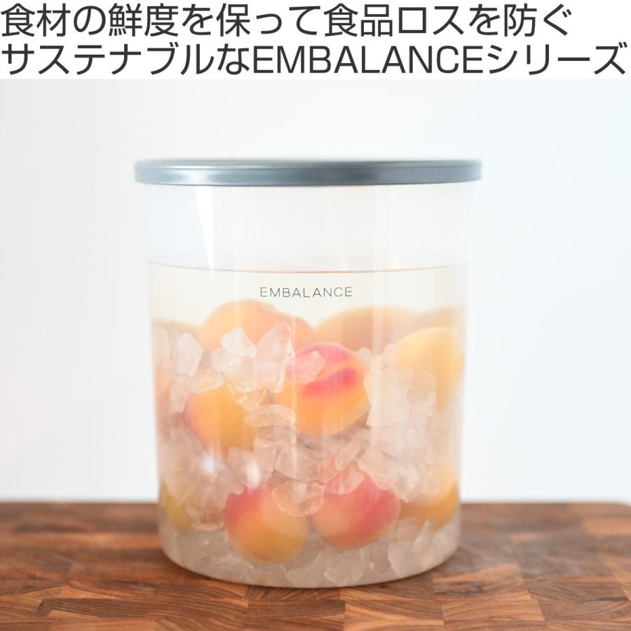EMBALANCE 保存容器 4.2L フードコンテナ （ エンバランス プラスチック 冷凍 冷蔵 鮮度保持 日本製 4200ml 深型 ...