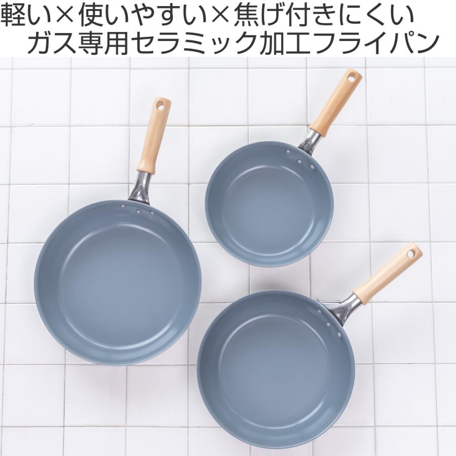 ウルシヤマ金属工業 フライパン 22cm 深型 ガス火専用 セラミックコート セラフィム 日本製 UMIC （ ガス火対応 セラミックフライパン 炒め鍋 軽い ） : リビングート ヤフー店 ...