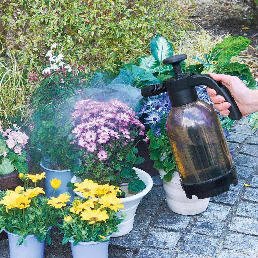 COGIT 加圧ポンプ ジェット泡 洗浄クリーナー ポンプ式 蓄圧式 家庭用 電源不要 電池不要 （ 加圧 ポンプ 泡 洗浄 窓掃除 洗車 網戸 掃除 2L 手動 ） : リビングート ヤフー ...