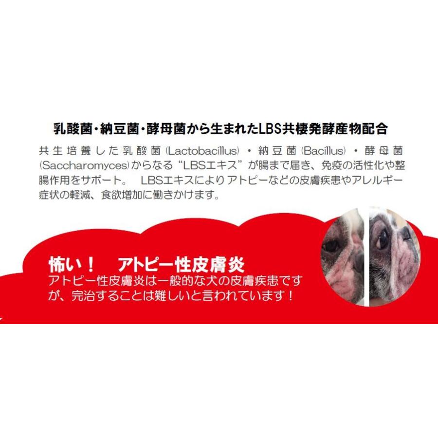 デイリーチョイス プレミアム Daily Choice PREMIUM 犬 猫 サプリ うんち臭 腸活 ブルドッグ・フレンチブルドッグ ...