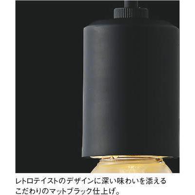 KOIZUMI AP49026L ペンダントライト LEDランプ交換可能型 非調光 40W相当 フランジタイプ 電気工事不要タイプ コイズミ照明 : エルネットショップ Yahoo!店 ...