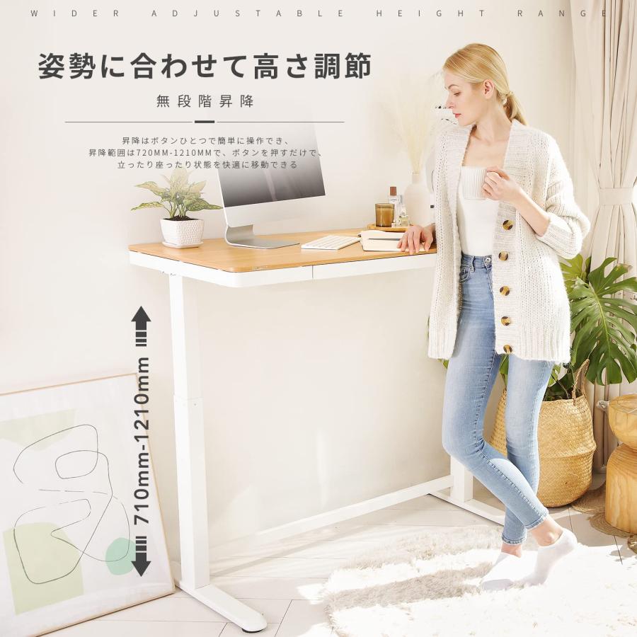 FLEXISPOT 電動式昇降デスク EG8（幅120×奥行60，木製天板）メーカー5年保証 メ : 1320241003001405 : Lo&Lu - 通販 - Yahoo!ショッピング