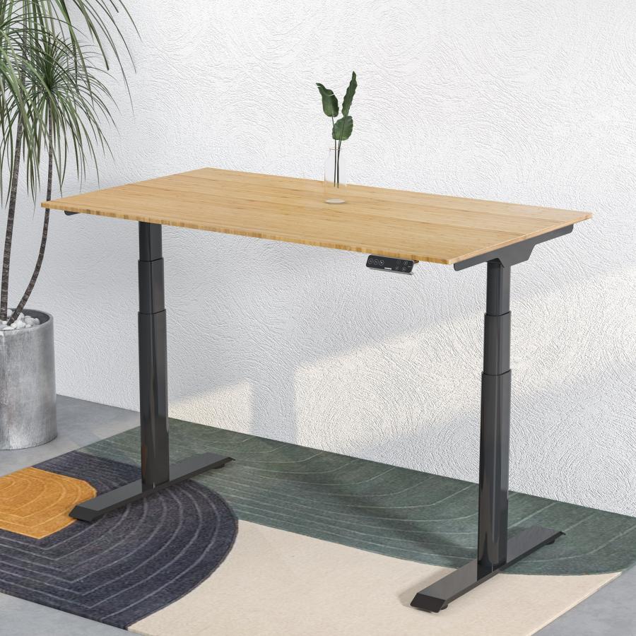 FlexiSpot スタンディングデスク E8 電動昇降デスク 昇降 FlexiSpot スタンディングデスク E8 電動昇降デスク 昇降