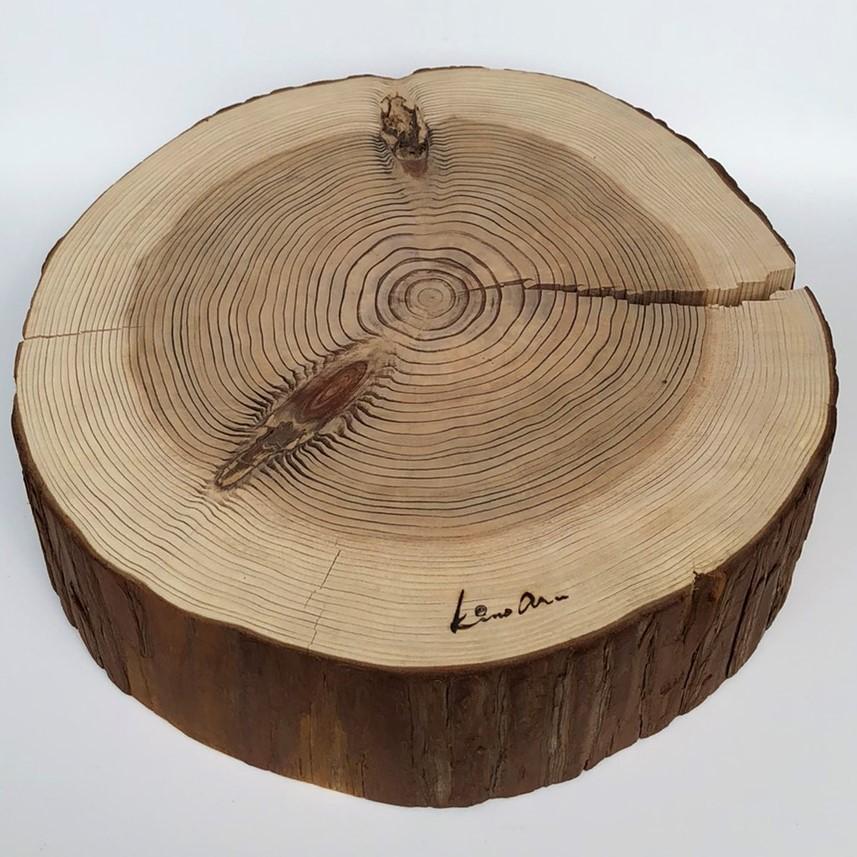 杉 丸太皮付きスライス（大）訳アリ品特価！ : kinoaru - 通販 - Yahoo!ショッピング