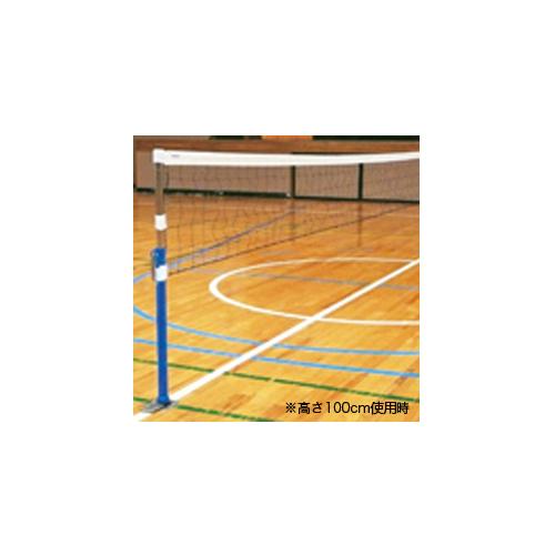 プレルボール 高学年向け 体育 授業 ネット 支柱セット 体育用品