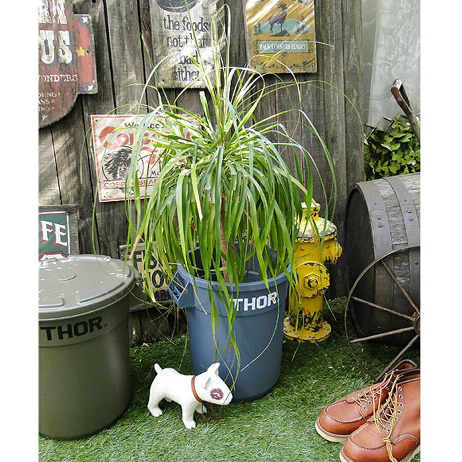 TRUST トラスト ラウンドコンテナ 1012 75L グレー KTL-38 : Loop Leaf ループリーフ - 通販 - Yahoo!ショッピング