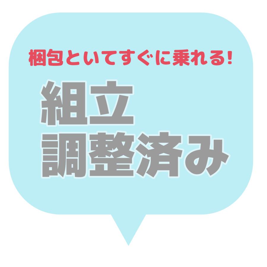 DAHON DAHON：SPEEDFALCO Night Snow (Shimano Altus) 折り畳み自転車 FOLDING BIKE : Lost&Found Bicycles ...