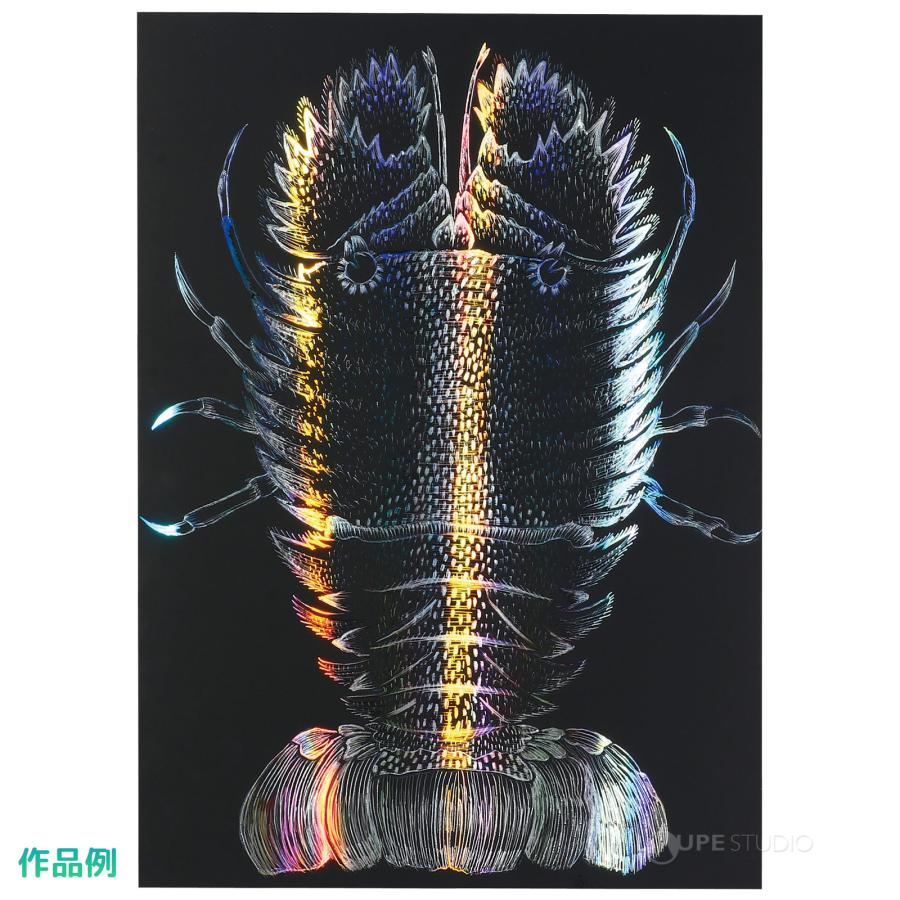 ホログラムスクラッチボード2 150×200mm :atc-12079:ルーペスタジオ - 通販 - Yahoo!ショッピング