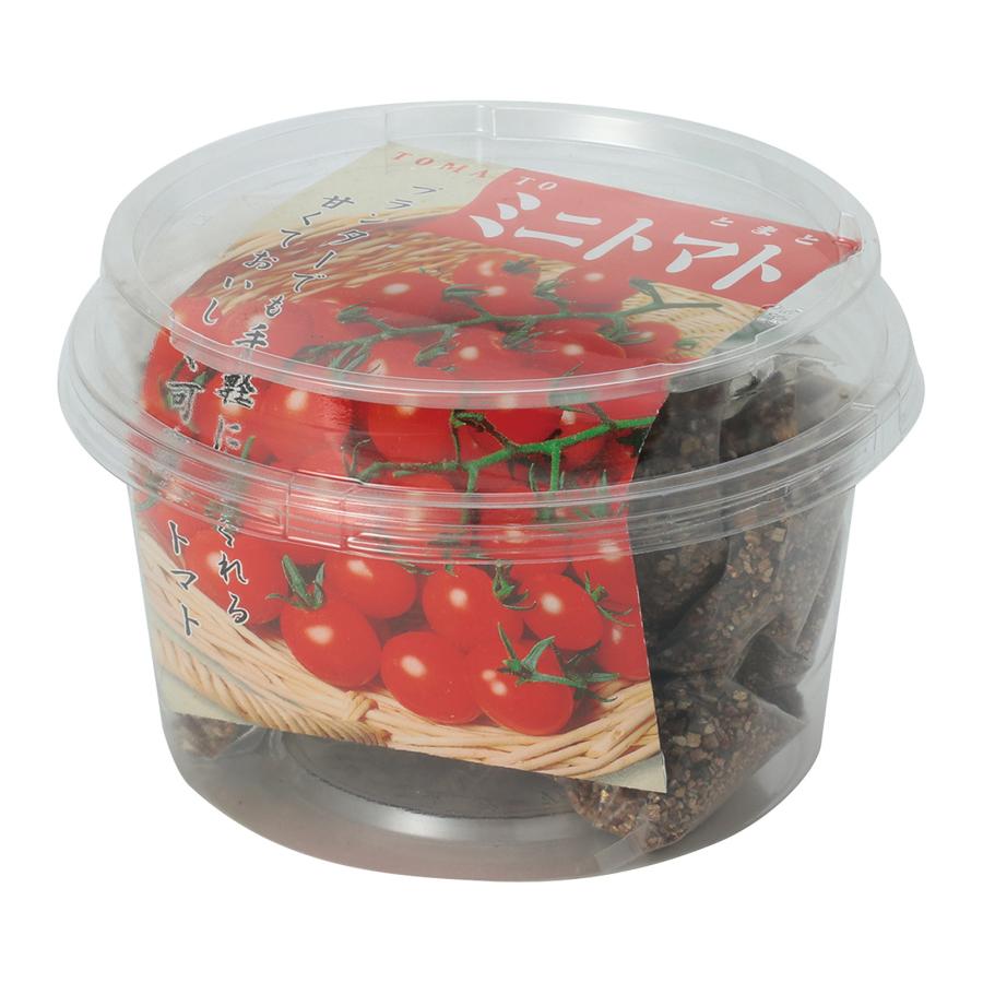 育てるやさい トマト ミニトマト 栽培セット 栽培キット 家庭菜園 初心者向け 収穫 野菜づくり 野菜 植物 ガーデニング やさい 育てる グリーン : ルーペスタジオ - 通販 ...