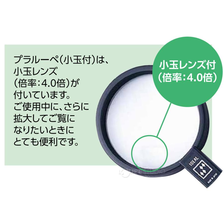 ルーペ 拡大鏡 虫眼鏡 2倍 読書 観察 検査 敬老の日 プレゼント おすすめ プラルーペ 小玉付 PP888-90 ギフト : ルーペスタジオ - 通販 - Yahoo!ショッピング