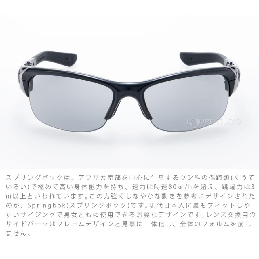 スポーツサングラス 調光レンズモデル 野球 SPB-0066 BK SPRINGBOK スプリングボック SWANS スワンズ 敬老の日 プレゼント :sw-ss-352:ルーペスタジオ ...
