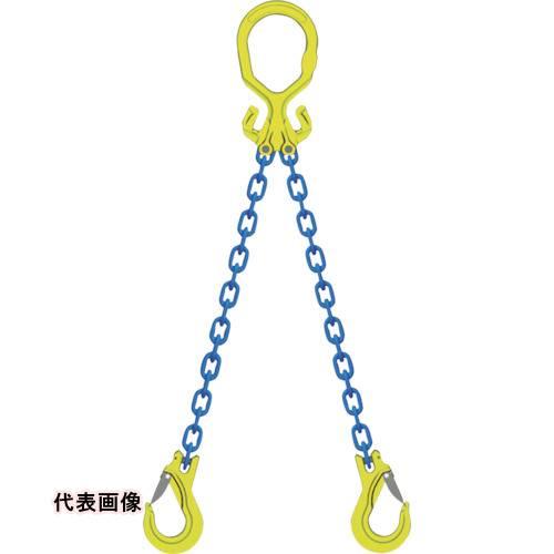 MARTEC チェーンスリングセット MG2-EGKNA10 チェーン長=2m [MG2-EGKNA10] MG2EGKNA10 販売単位：1 送料無料 : trs-aiqe : ルーペ ...