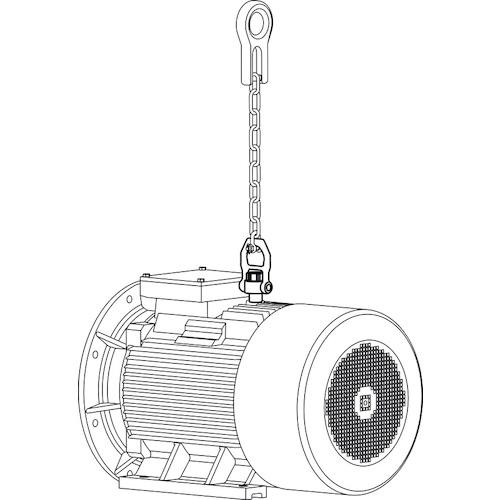 HALDER ネジ山クランプ式リフティング・ピン スイベルタイプ ステンレス鋼 [22353.1008] 22353.1008 販売単位：1 送料無料 : ルーペスタジオ - 通販 ...