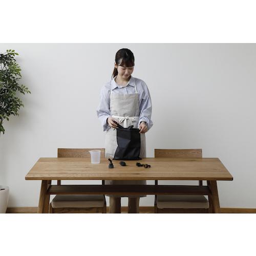 IRIS 102093 スチームクリーナー ハンディータイプ [STMK-305R-C