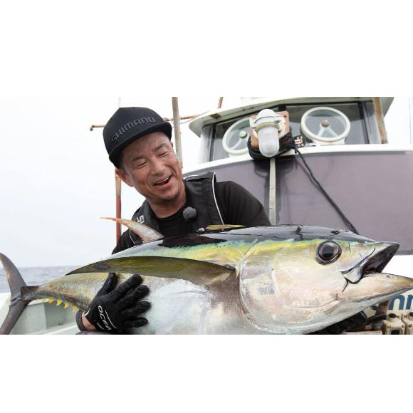 ゲーム タイプ EJ B63-5 SHIMANO : lf380845 : LoveFish - 通販 - Yahoo!ショッピング