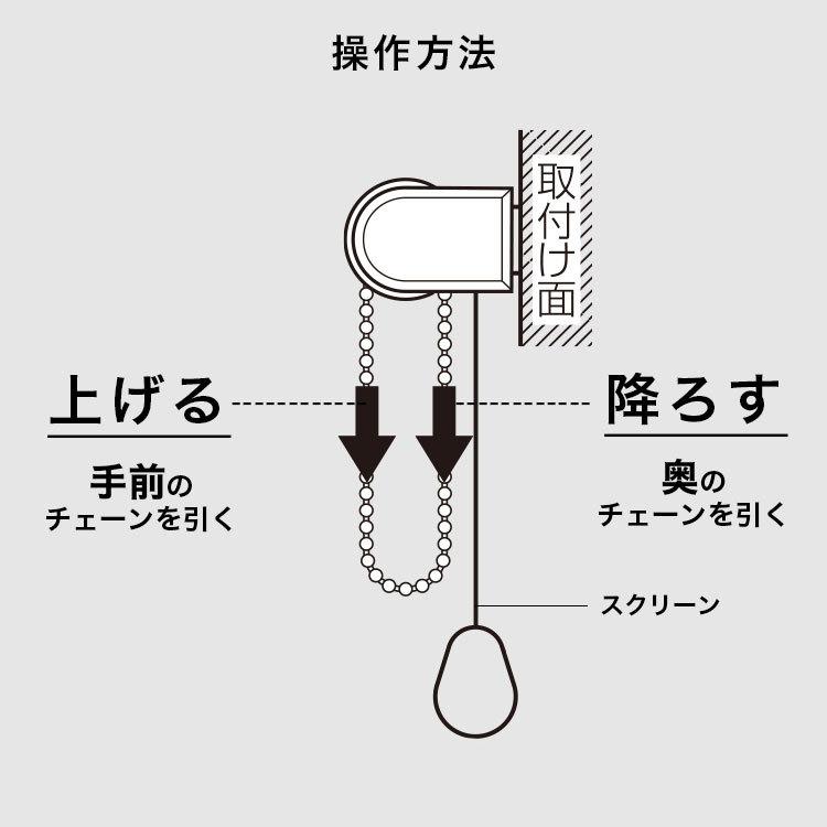 LOWYA ロールスクリーン ロールカーテン 目隠し めかくし 無地 幅180 丈80 100 120 140 160 180 200 220 240 受注生産商品 : LOWYA(ロウヤ ...