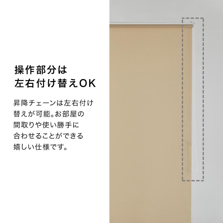 LOWYA ロールスクリーン ロールカーテン 目隠し めかくし 無地 幅180 丈80 100 120 140 160 180 200 220 240 受注生産商品 : LOWYA(ロウヤ ...