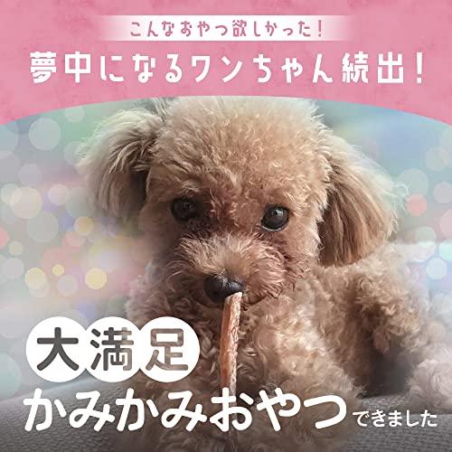 健康いぬ生活 馬肉 アキレス ジャーキー 105g (35g×3袋) 犬 おやつ 無添加 ガム 国産 長持ち 歯磨きガム アキレス腱 犬用 アキ : l7708f13d13 : luana ...