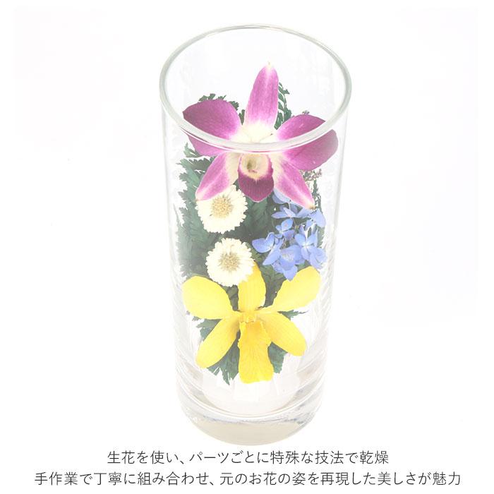 D0005 プリザーブドフラワー 仏花 ケース入り 通販 高さ17cm ボトルフラワー グラスフラワー 枯れない花 観賞用 造花 お供え花 : BACKYARD FAMILY 雑貨タウン ...