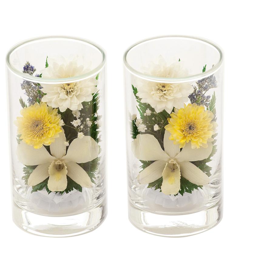 D0031 プリザーブドフラワー 仏花 ケース入り 通販 高さ12cm ボトルフラワー グラスフラワー 枯れない花 観賞用 造花 お供え花 : BACKYARD FAMILY 雑貨タウン ...