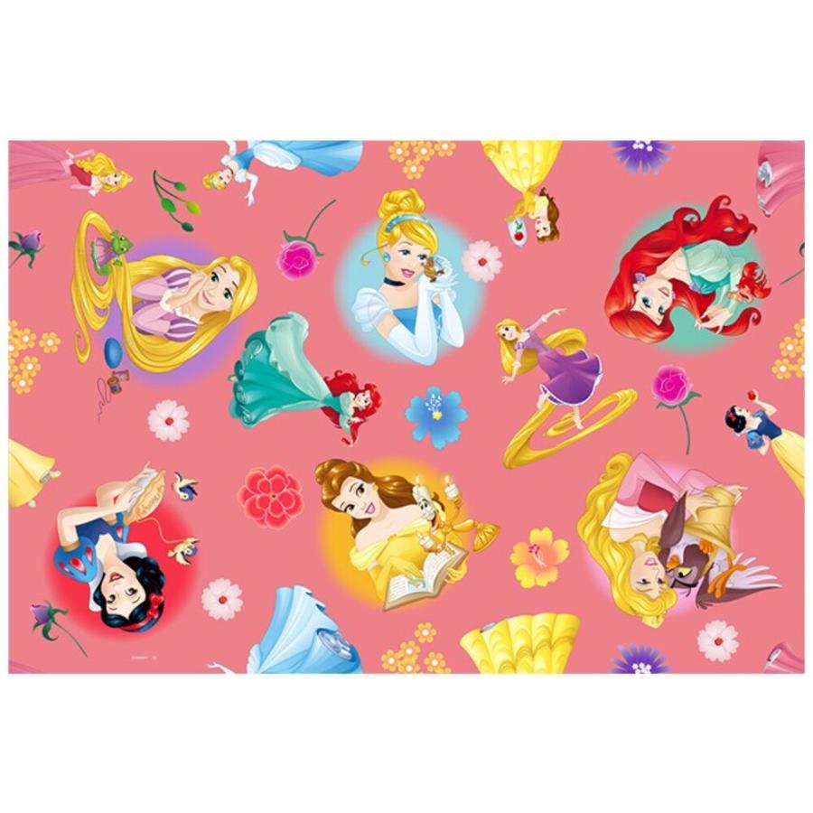 ☆ プリンセス キャラクター レジャーシート Sサイズ 一人用 子供 約60×90cm ピクニックマット 敷物 シート マット ...