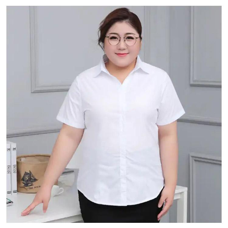 ブラウス S-8XL レディース 襟付き 長袖 リクルート 半袖 オフィス ビジネスシャツ スーツ 白シャツ S-8XL Yシャツ フォーマル 通勤 : infit768672 : Lucky ...