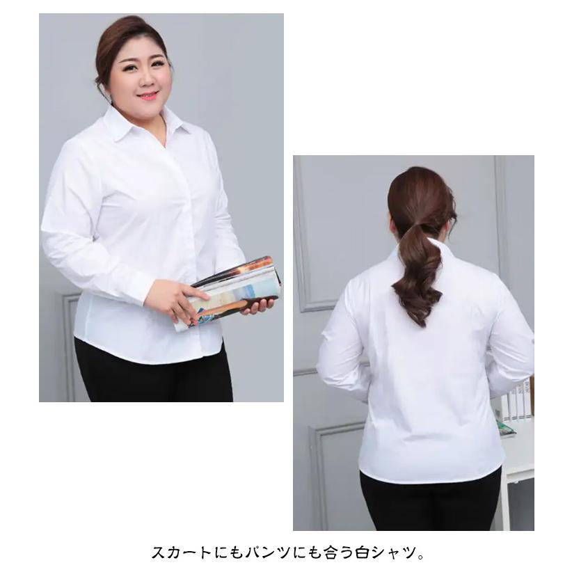 ブラウス S-8XL レディース 襟付き 長袖 リクルート 半袖 オフィス ビジネスシャツ スーツ 白シャツ S-8XL Yシャツ フォーマル 通勤 : infit768672 : Lucky ...