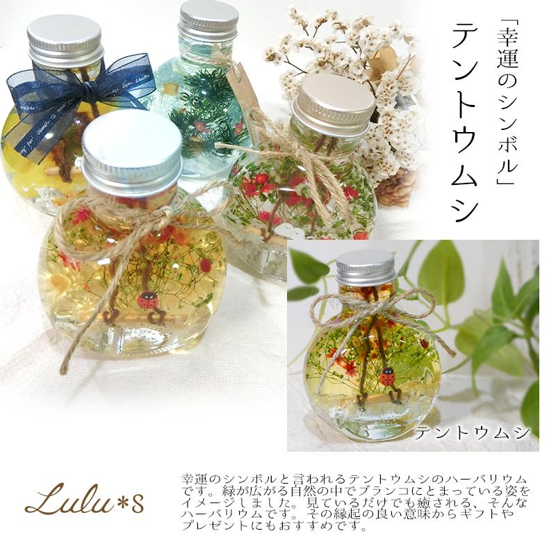 シマエナガ 金魚 てんとう虫 ハーバリウム 雪の妖精 プリザーブドフラワー ドライフラワー Lulu's-0549 : Lulu’s ルルズ フラワーとギフト雑貨のお店 - 通販 ...