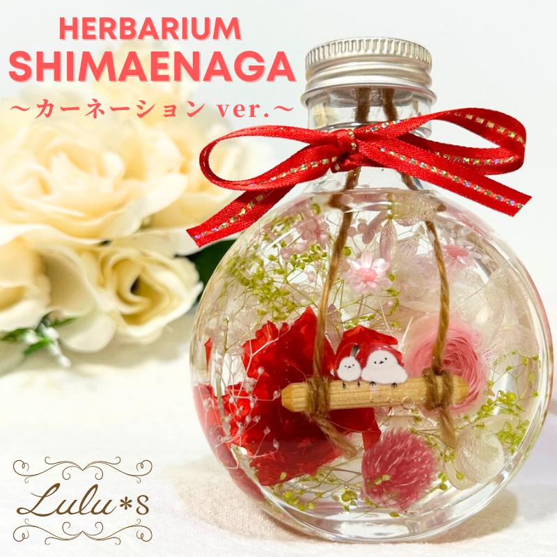 カーネーション シマエナガ ハーバリウム プリザーブドフラワー カワイイ 雪の妖精 可愛い かわいい 誕生日 プレゼント 母の日 北海道 インスタ映え Lulu's-0652 : lulus ...