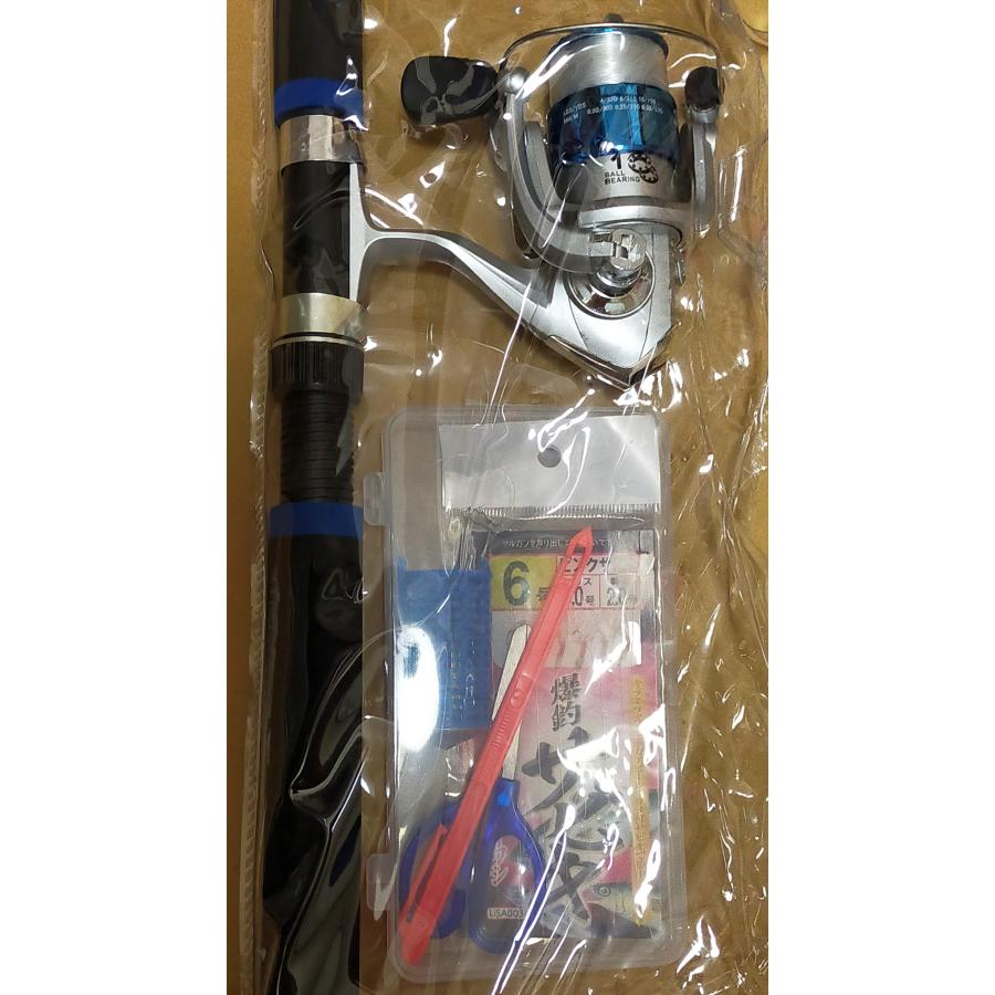 GTS 植村漁具 Riseway PG GO TO サビキ 300 (リール#2000) : らんかぁ倶楽部 - 通販 - Yahoo!ショッピング